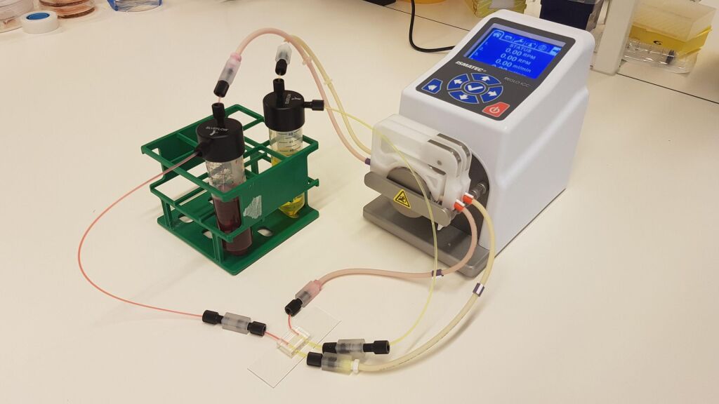Minder dierproeven in Utrecht door alternatieven als fietsbanden ...