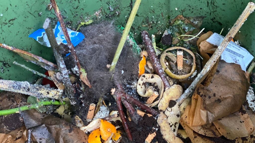 De inhoud van de gft-bak moet weer groener worden