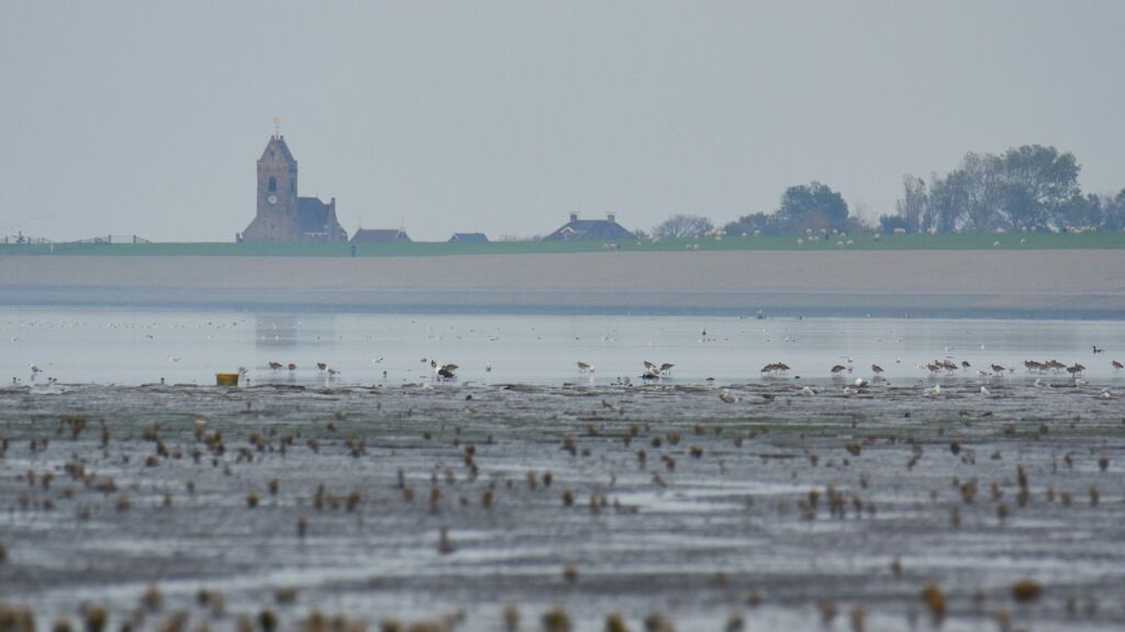 Nederland op het strafbankje bij Unesco vanwege mijnbouw Waddenzee