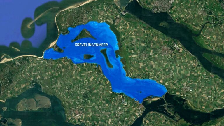 Waterkwaliteit Grevelingen pas jaren later aangepakt. 'Het blijft nog ...