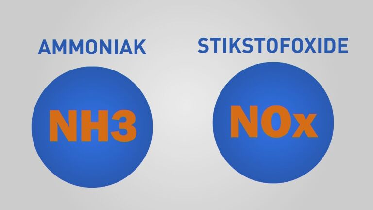 RUG-wetenschapper over stikstofprobleem: ‘We produceren vooral voor Duitsland'