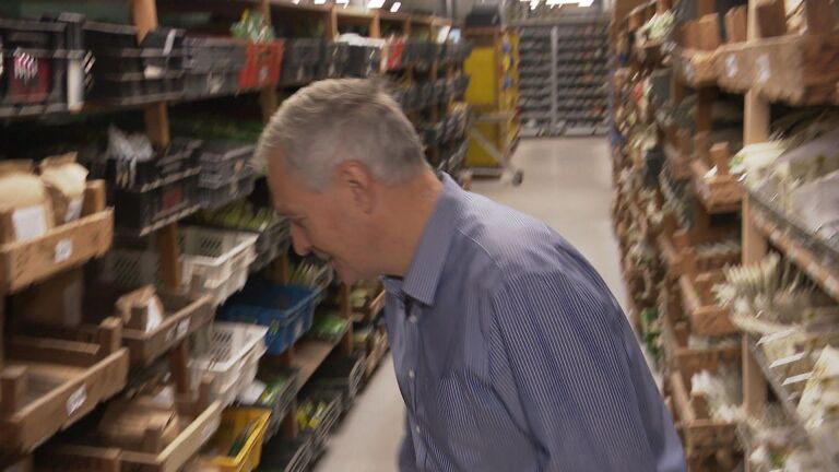 'Spurriekoning' Hoogeveen werd groot door zwart zaad (maar zat er niet op)