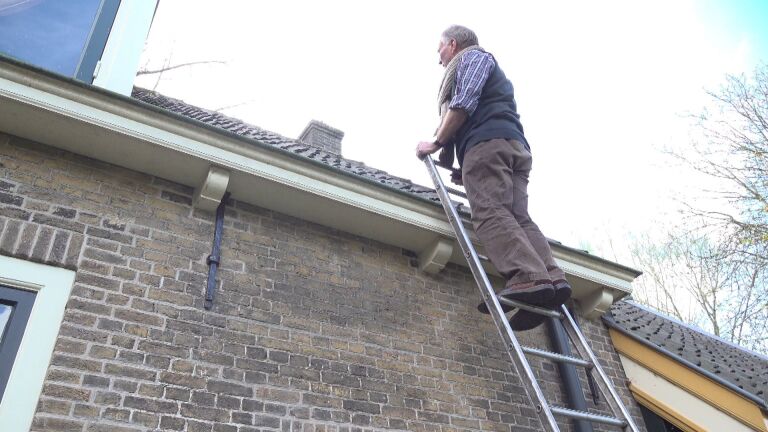 Janneke en George wonen in groene enclave in Overschie: een idyllische ...