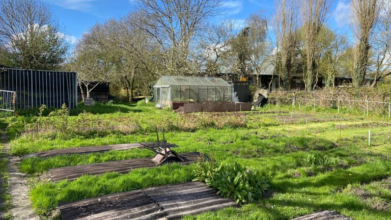 Janneke en George wonen in groene enclave in Overschie: een idyllische ...