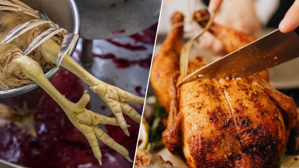 Dit kiprestaurant laat gasten helpen bij het slachten: 'Ik snijd zelf ...