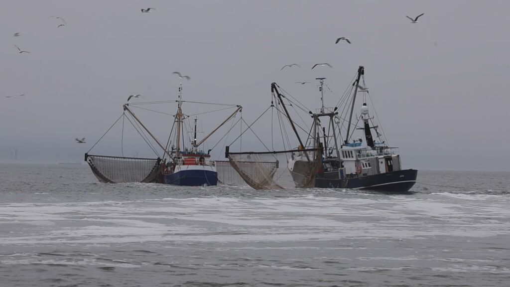 30 miljoen voor vissersdorpen, 'noodlijdende visserij raakt identiteit Urk'