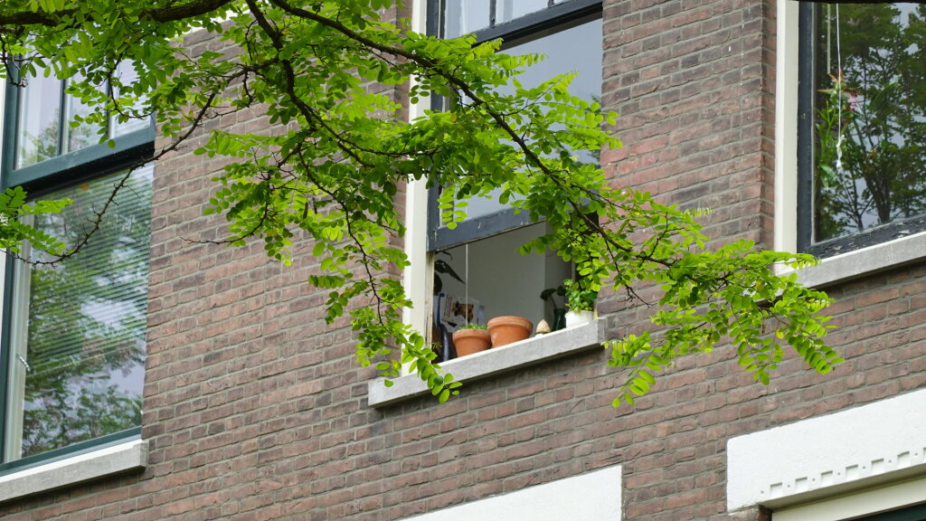 Huisbaas moet huurders duizenden euro’s terugbetalen