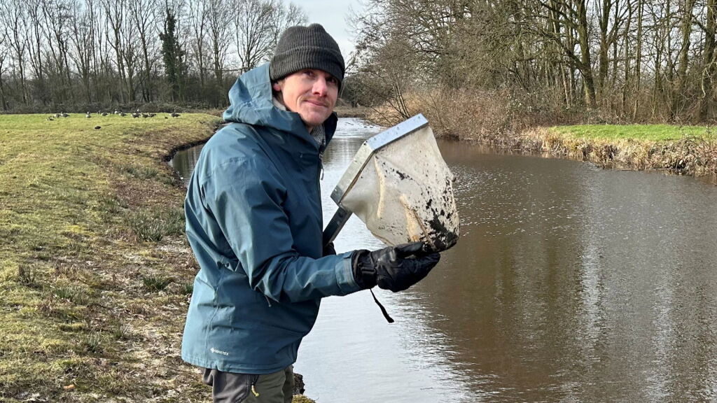 Eindelijk oplossing voor plaag rivierkreeften die blijkt te werken