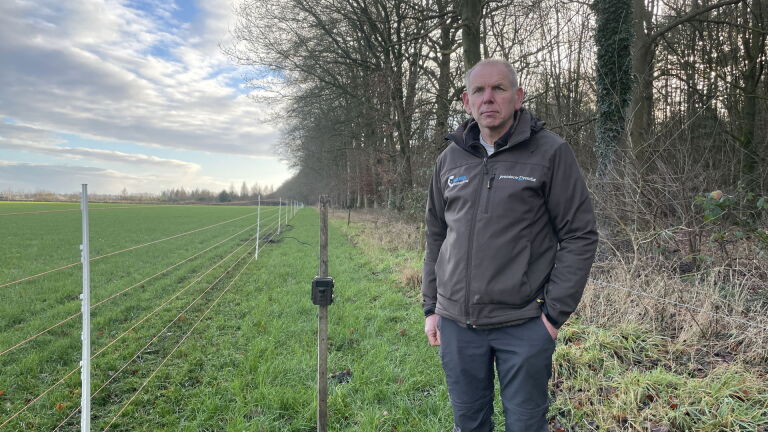 Waarschuwing NVWA aan dierhouder om bescherming exmoorpony's tegen wolf ...